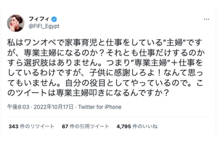 フィフィ、専業主婦の労働は年収換算「1300万円超」ツイートに違和感を抱いた理由|newsポストセブン Part 3