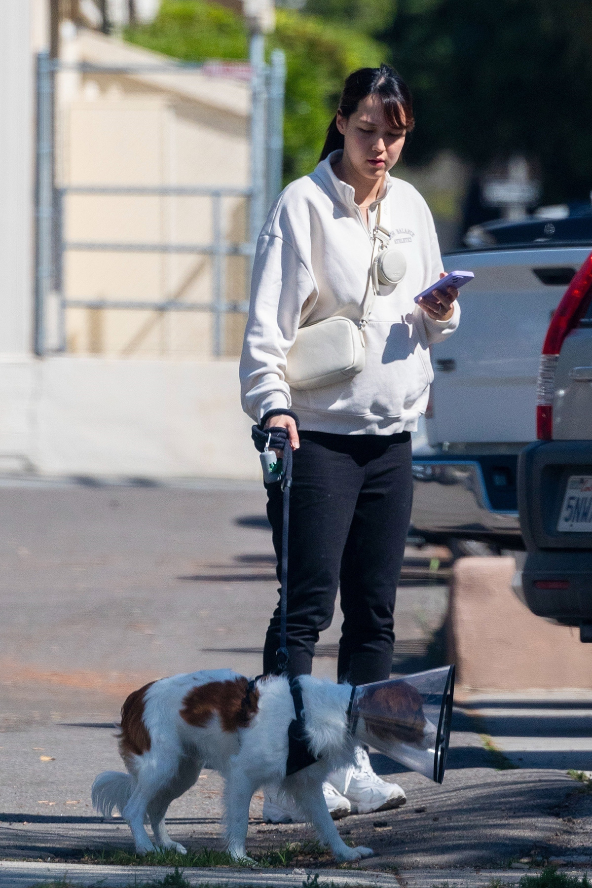 《産後“ファッション迷子期”を見事クリア》大谷翔平・真美子さん夫妻のレッドカーペットスタイルを専門家激賞「横顔も後ろ姿も流れるように美しい ...